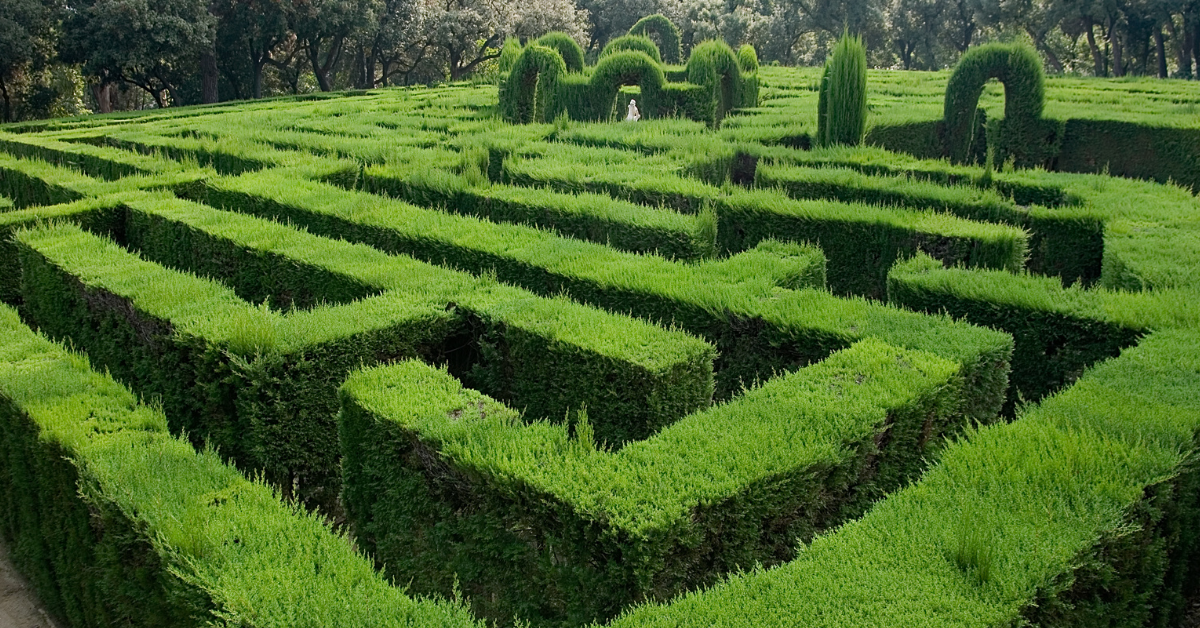 Navigating the Journey to Wellness